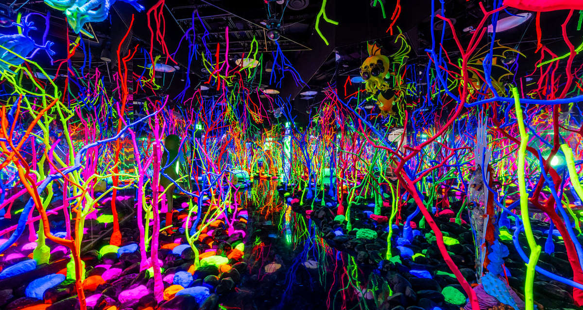 Creative Team | Glowquarium at The Real Unreal