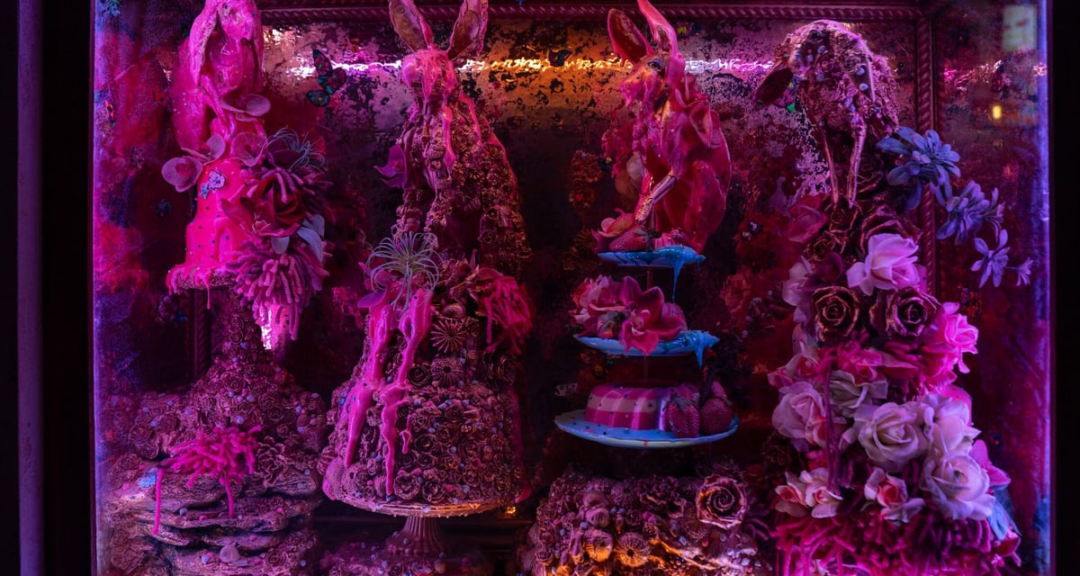 Creative Team | The Cake Box at Radio Tave