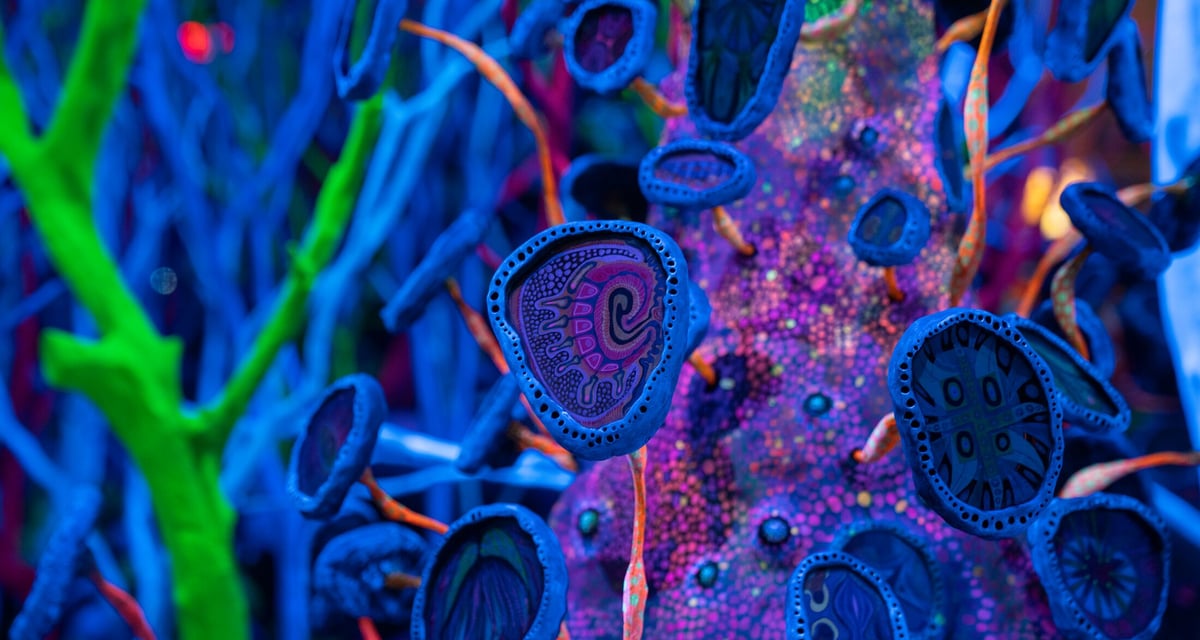 Creative Team | Gyraspore at Radio Tave