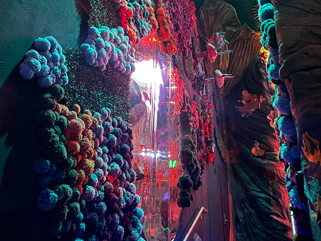Creative Team | Rainbow Lichen at Convergence Station